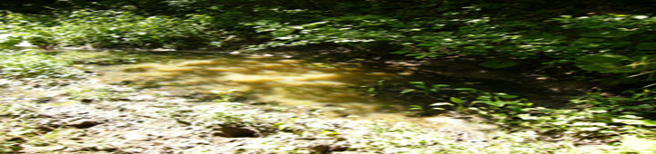 HOW TO LOCATE PURE WATER IN UNDERGROUND STREAMS, PURE, FRESH WATER